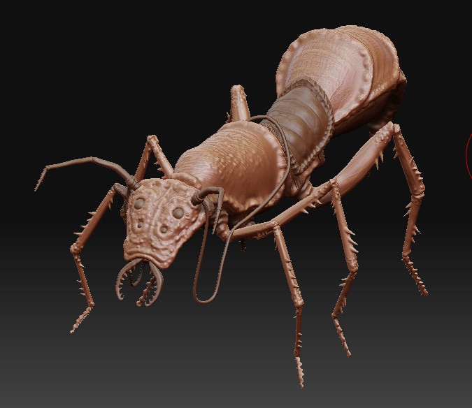 Savage Ant Rider | tsumea